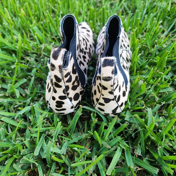 Paolo | Shoes | Linea Paolo Regan Bootie In White Black Calf Hair ...